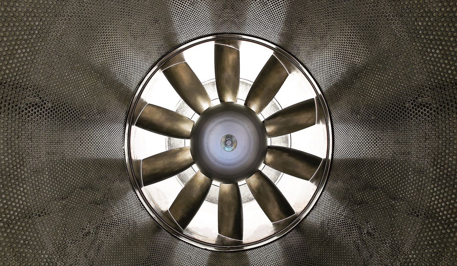 Zitron looks to expand on big Australian fan base - InvestMETS