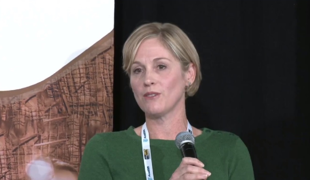 ‘Whole list of psychosocial factors’ to be addressed: Rio Tinto manager ...